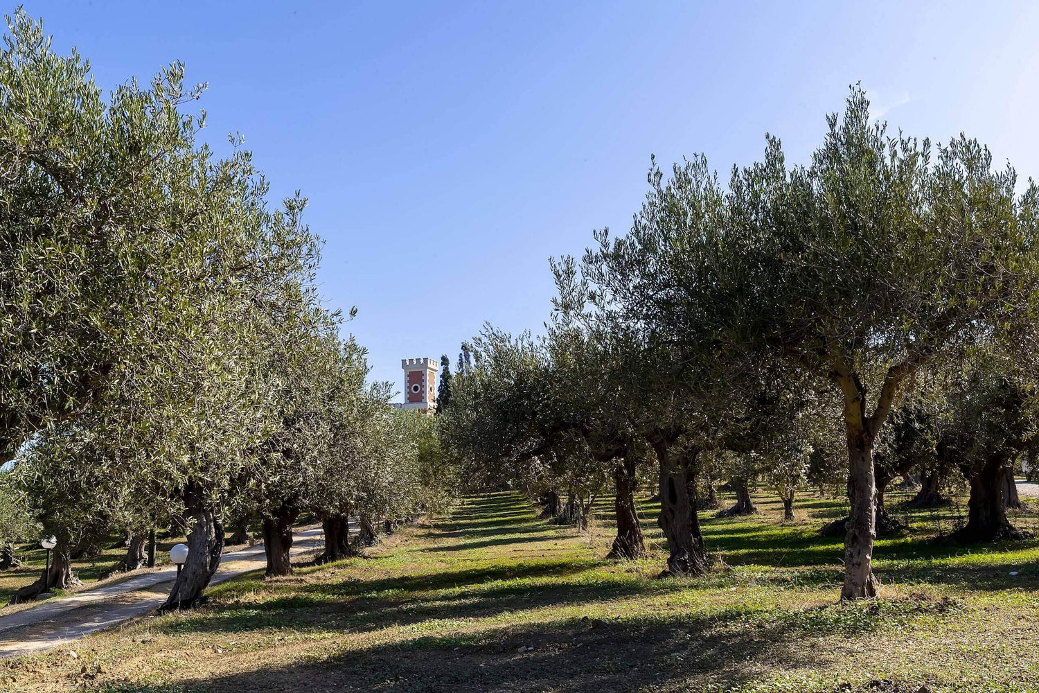 Alia Bio – Alia Bio Store